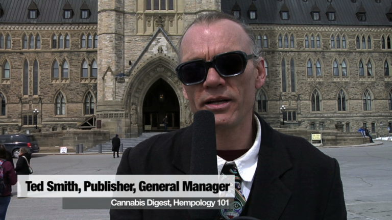 Cannabis Harvest Time Tips - Cannabis Digest