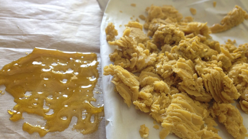 Understanding Cannabis Concentrates - Cannabis Digest