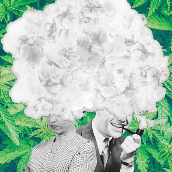 Stoner Dating Gone Wrong... - Cannabis Digest